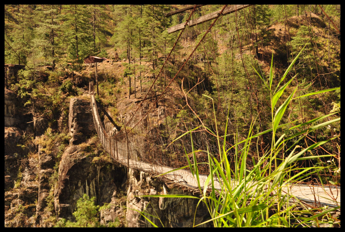 The beautiful bridges of Arunachal Pradesh | Travellenz